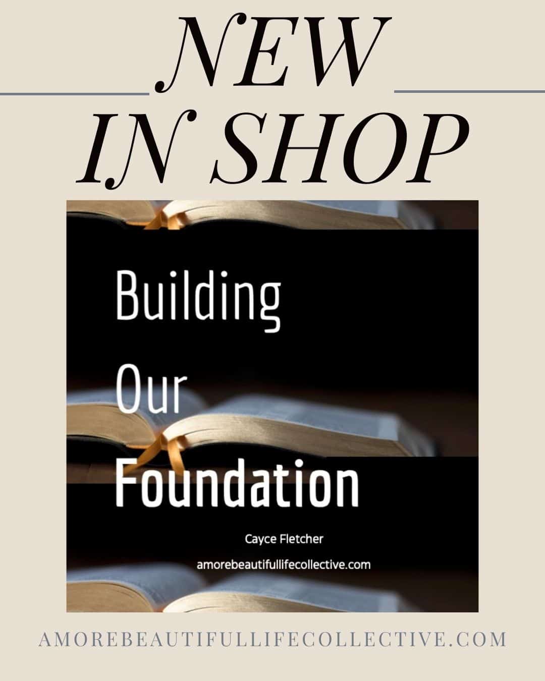 Building Our Foundations: 11-Week Systematic Theology Book & Bible ...
